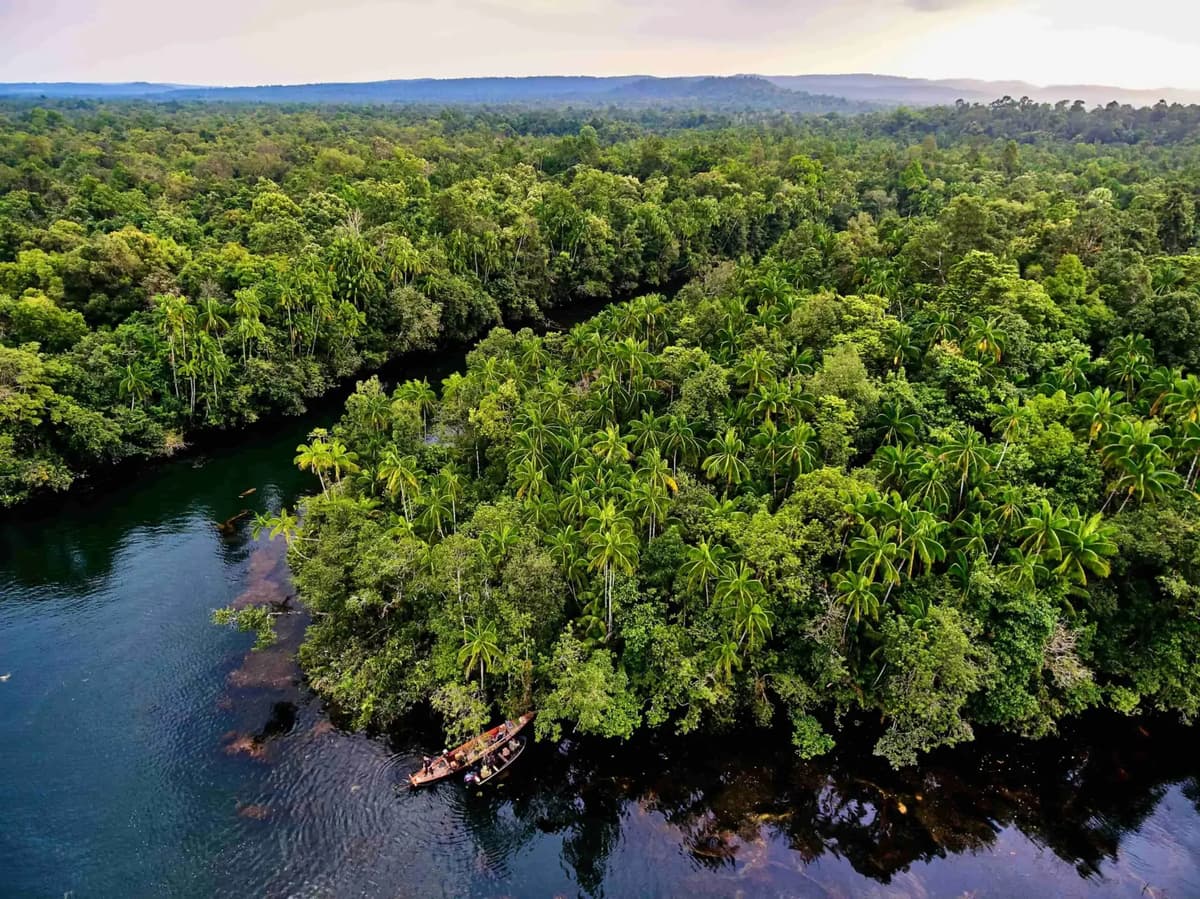 Carbon Projects - from EarthOnly