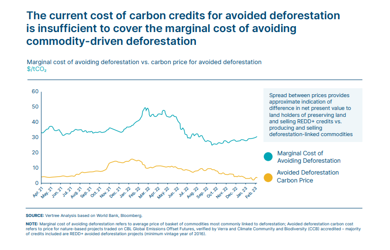 ETC Report : Protecting High-Risk Forests from Deforestation will ...