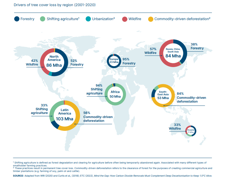 ETC Report : Protecting High-Risk Forests from Deforestation will ...